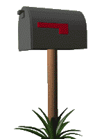 The Power of GIFs for Brands