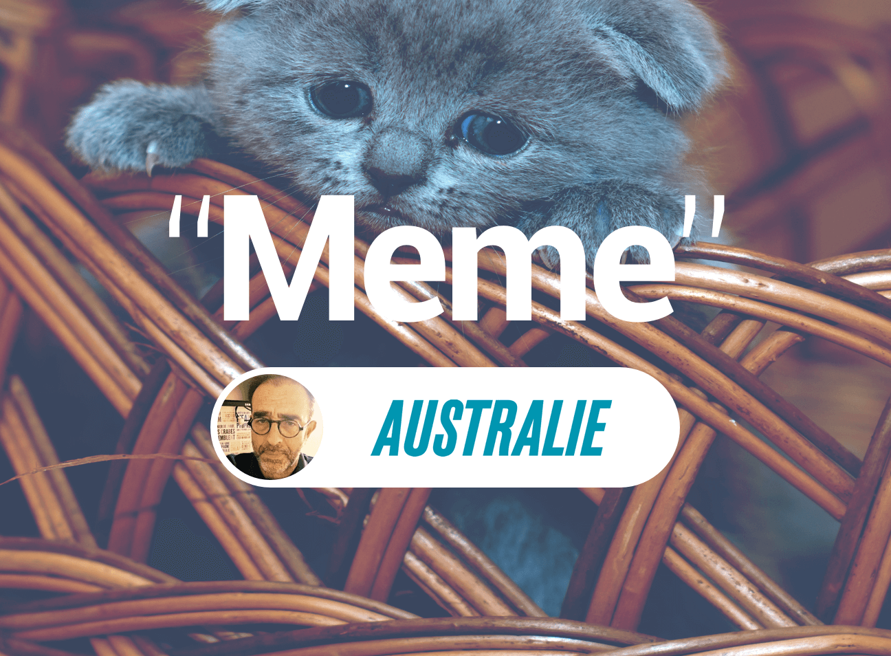 Memes Que Definition